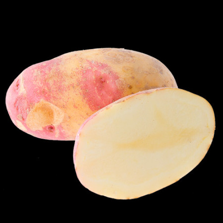 Lär dig mer om potatis | Hebe Frukt & Grönt