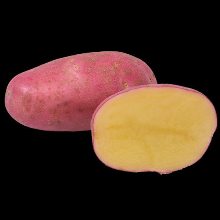 Lär dig mer om potatis | Hebe Frukt & Grönt
