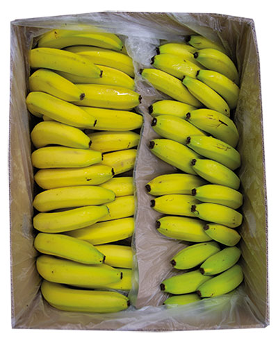 Bananer sortiment - Hebe Frukt & Grönt